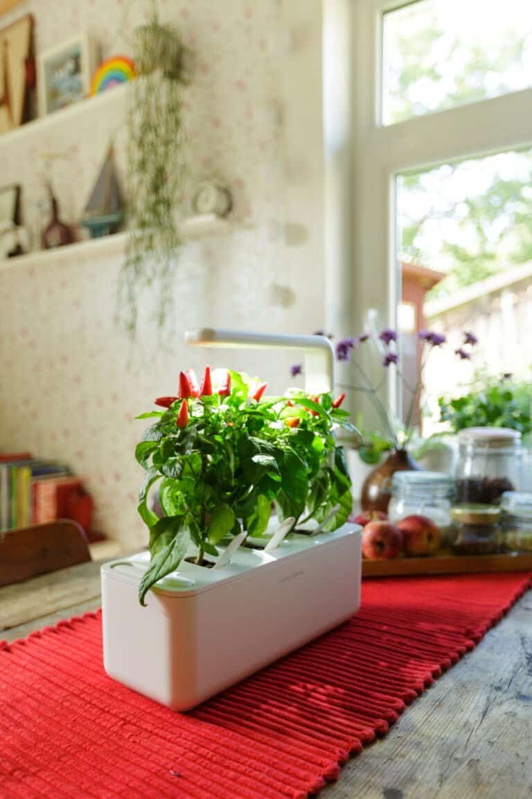 Smart Gardening For All Abilities - Click & Grow