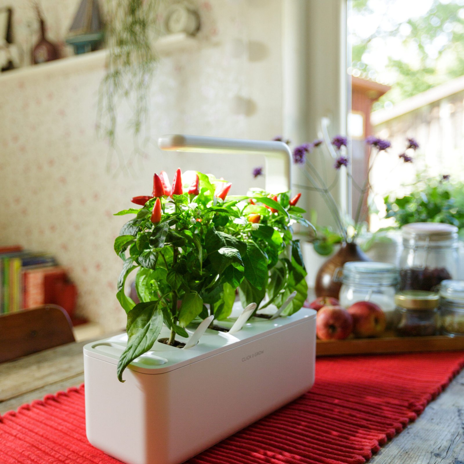 Smart Gardening For All Abilities - Click & Grow