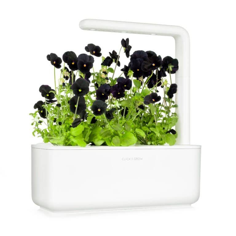 Smart Gardening For All Abilities - Click & Grow