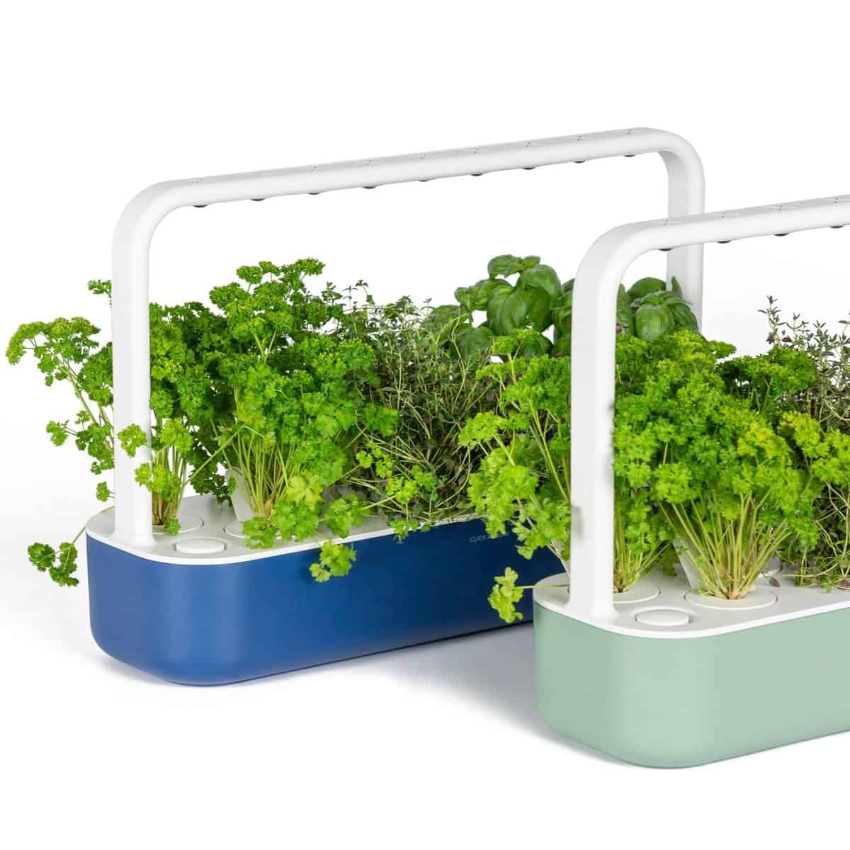 Smart Gardening For All Abilities - Click & Grow
